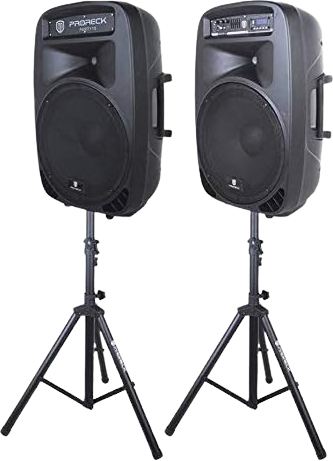 Proreck PARTY-15 PA Speaker System 2000W 2-Way Combo Speakers and 15 ...